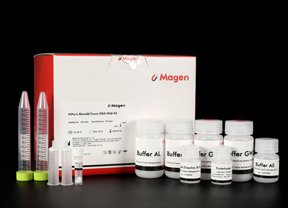 Midi Scale Genomic DNA Extraction Kit | Column System